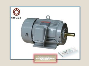 TATUNG ELECTRIC MOTOR - PT. CAKRA ADJI GUNUNG